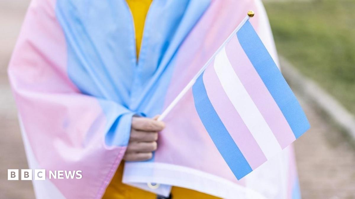 Mermaids: Commission opens inquiry into transgender charity - BBC News