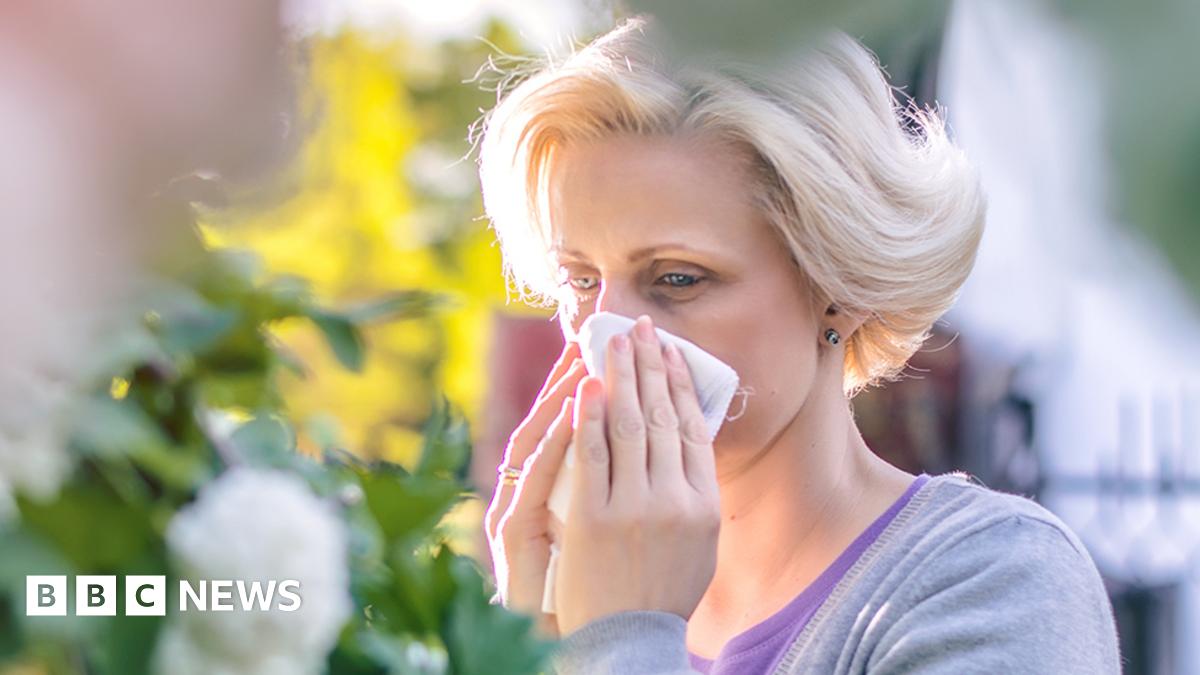 Number of hay fever sufferers seeking NHS advice triples - BBC News