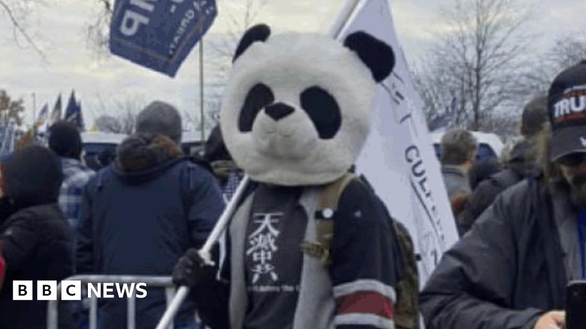 FBI arrests so-called sedition panda in 6 January Capitol riot case ...