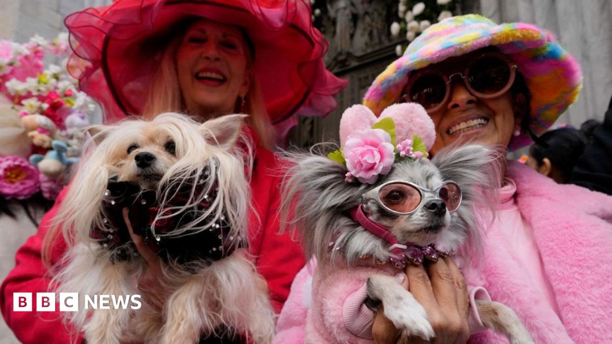 Week in pictures: 30 March - 5 April 2024 - BBC News