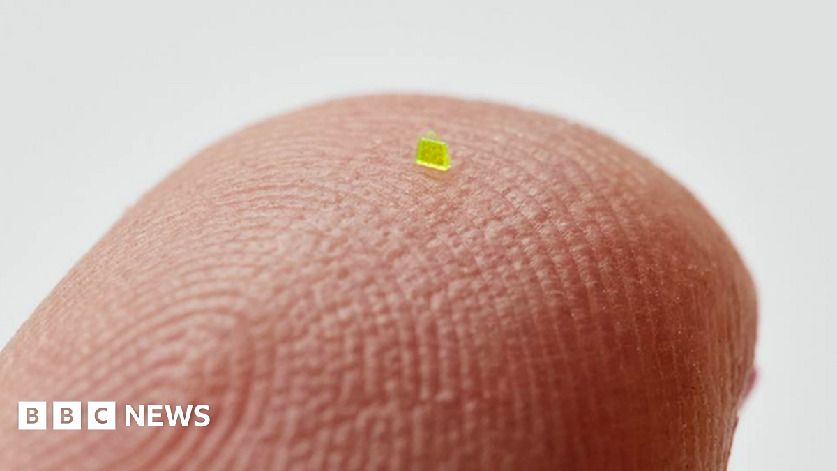 MSCHF microscopic bag 'smaller than grain of salt' sells for $63,750 ...