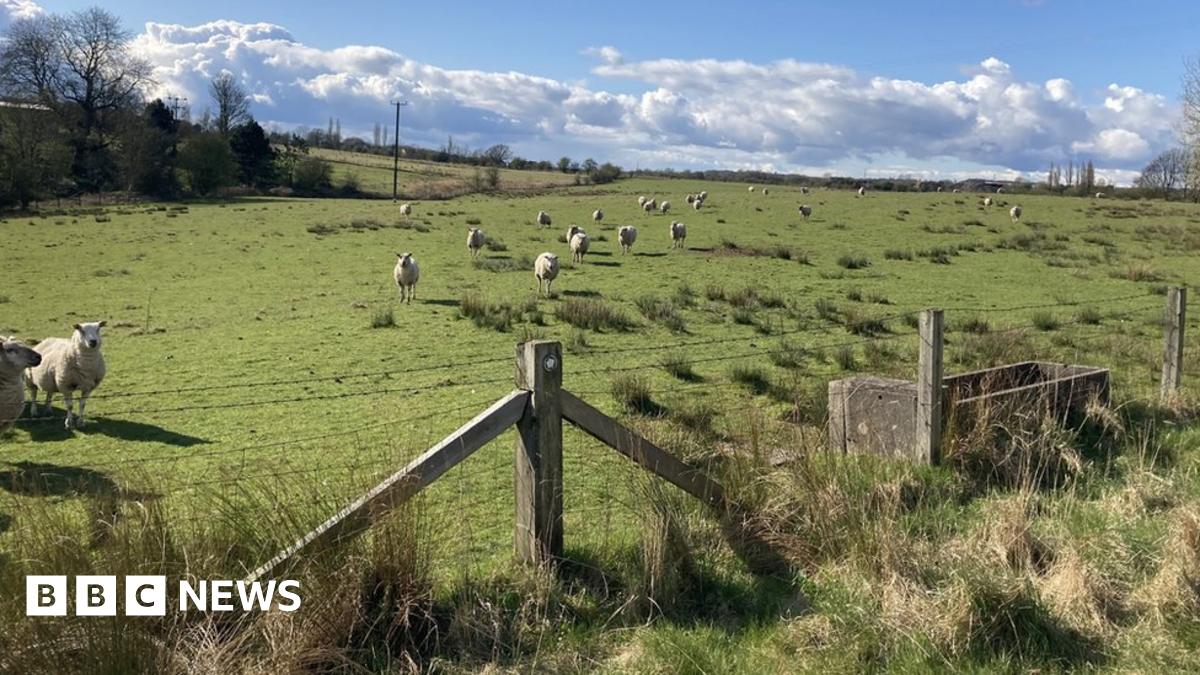 Mosley Common: Decision for 1,100 new homes in Wigan upheld - BBC News