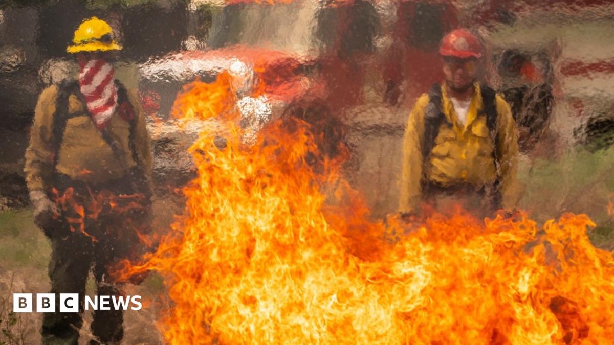 US environmental agency releases climate report delayed by Trump - BBC News