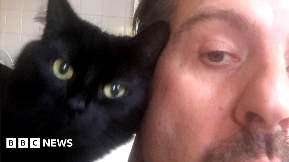 In pictures: Men and their moggies - BBC News