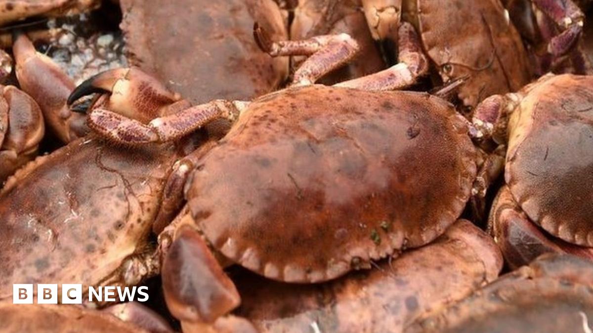 Dozens of jobs saved at Orkney seafood firm - BBC News