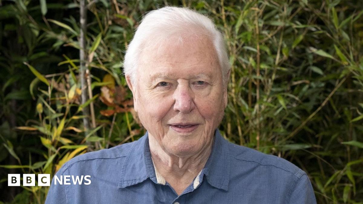 BBC 100: Corporation opens archives to public to mark centenary - BBC News