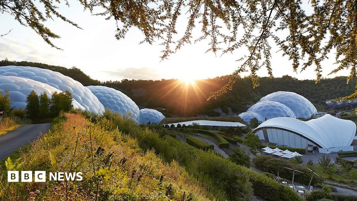 Eden Project to explore Dundee as new tourist attraction venue - BBC News