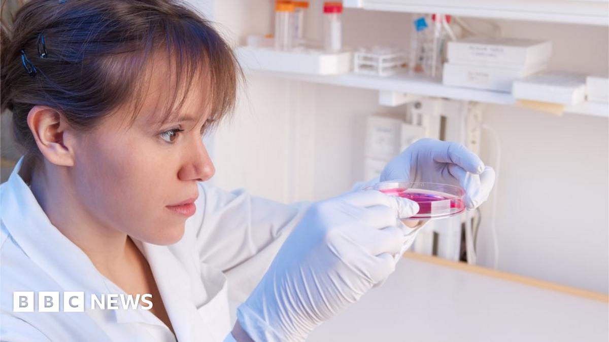 The risks behind the hype of stem-cell treatments - BBC News