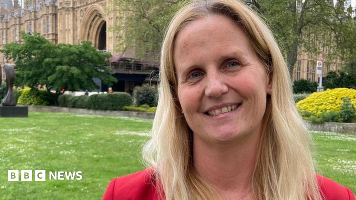 Labour MP urges party to pause new seat selection process - BBC News
