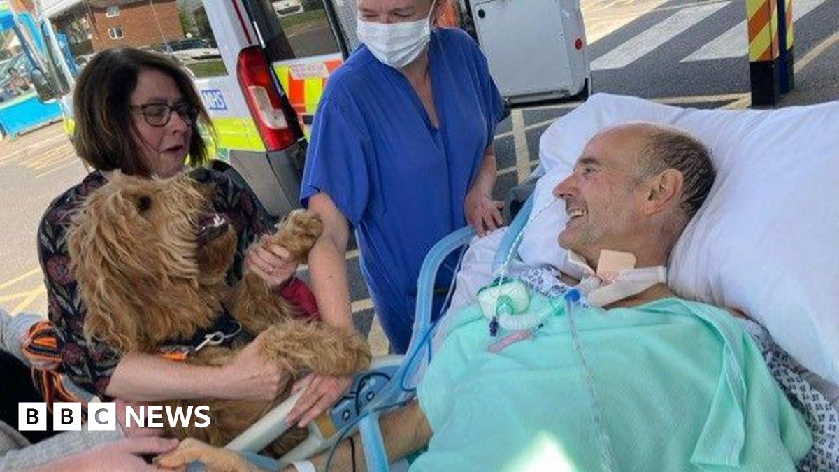 East Kent: Man takes dog to hospital to 'offer others hope' - BBC News