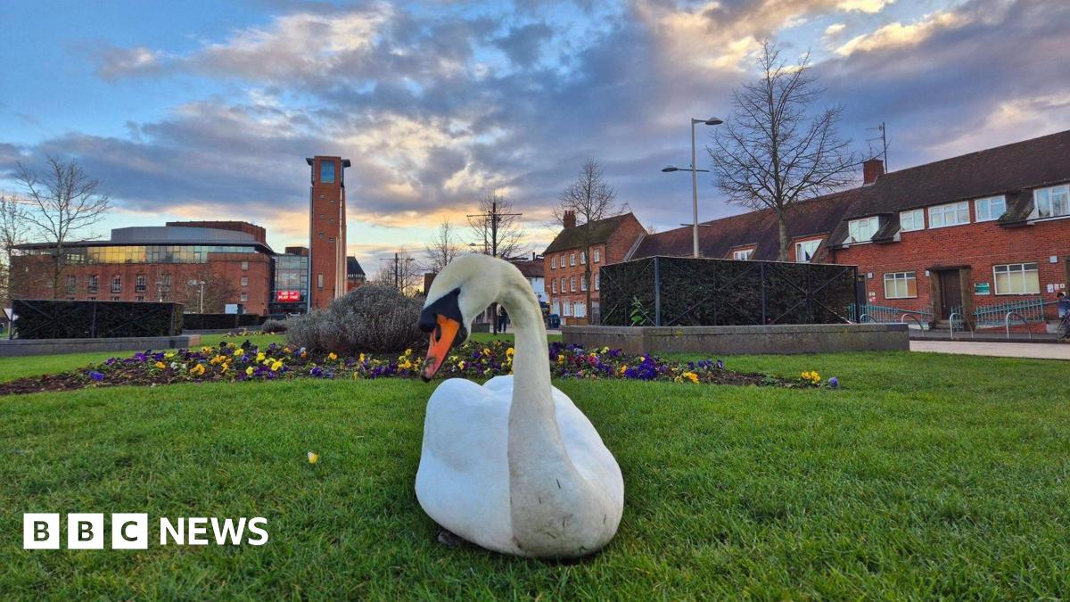 BBC Weather Watchers photos from across the West Midlands - BBC News