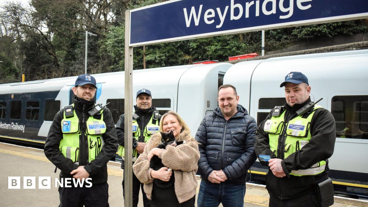 Surrey: Tilly the cat earns a railcard for adventurous trip - BBC News
