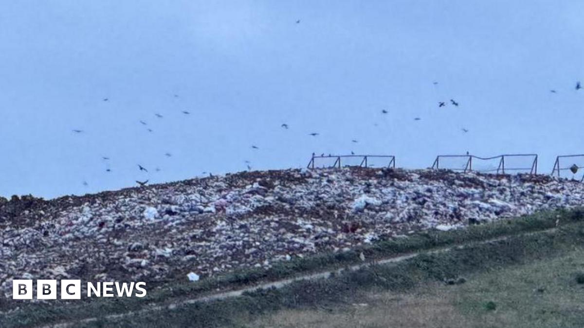 Landfill firm in Essex records increase in odour complaints - BBC News