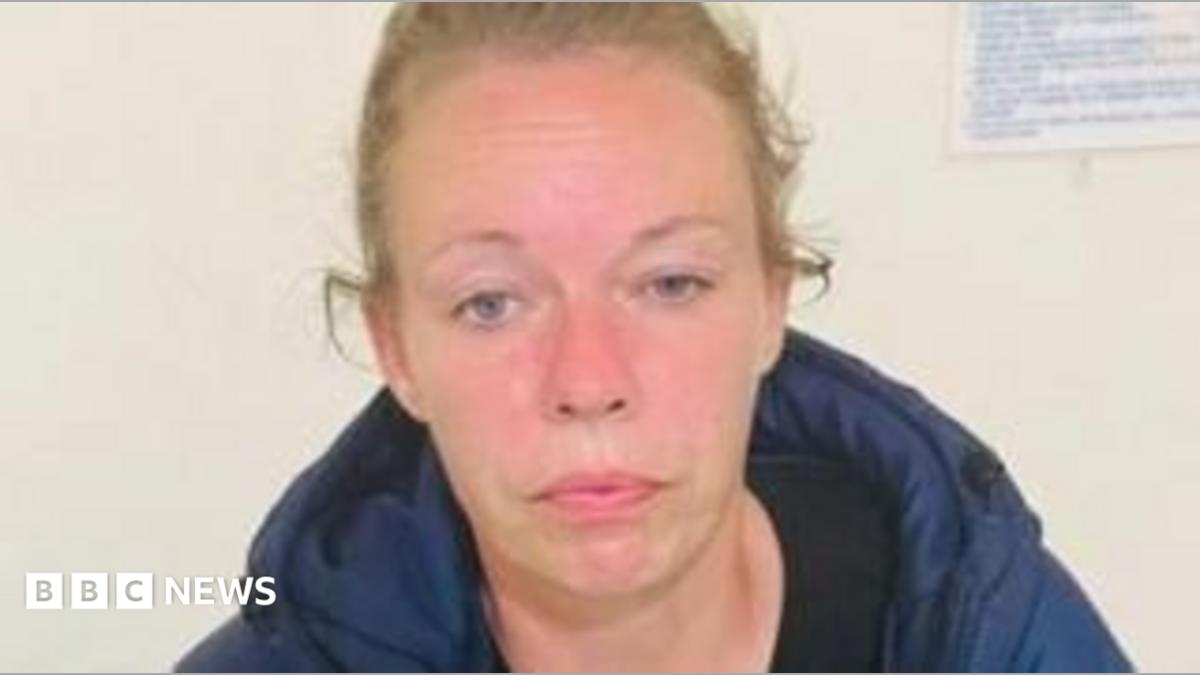 Charlene Hobbs: Murder probe into missing woman shares possible ...