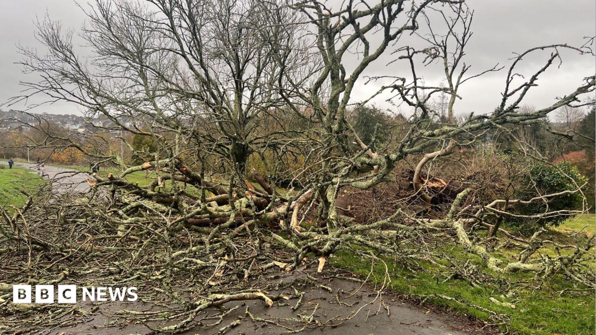 Devon and Cornwall Storm Bert wind and rain warning - BBC News