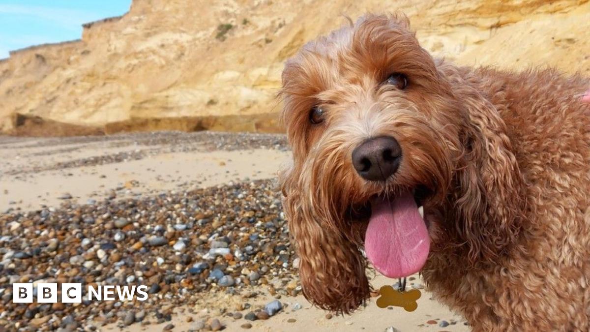 In pictures: The East gets its first taste of spring - BBC News