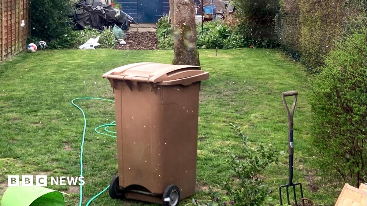Changes to garden waste collection service for Peterborough - BBC News