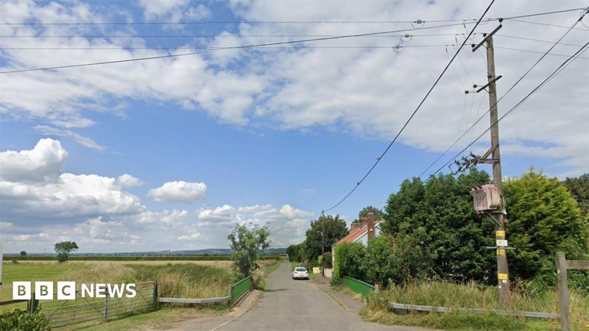 Winteringham: Dead kittens dumped on North Lincolnshire road - BBC News