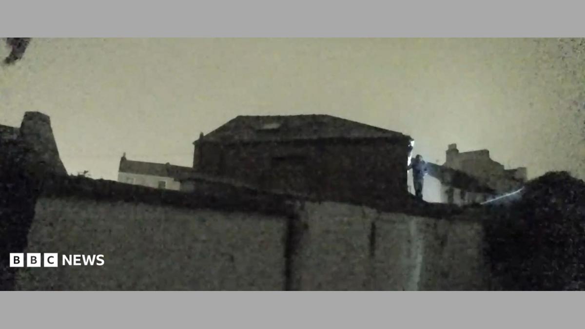 Burglar who climbed onto roof in police stand-off jailed - BBC News