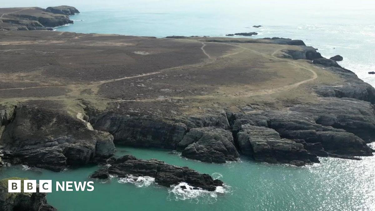Anglesey: The Range exclusion zone introduced to protect wildlife - BBC ...