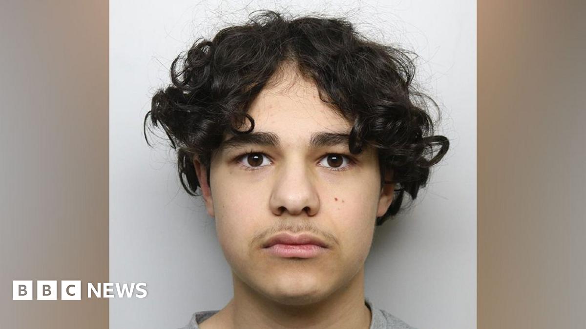 Alfie Lewis: Leeds teenager detained for life for murder - BBC News