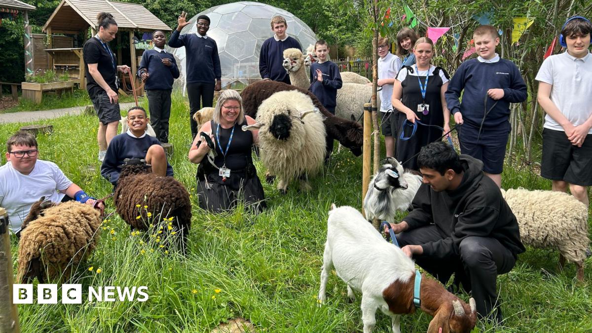 Manchester school shortlisted as one of the 'world's best' - BBC News