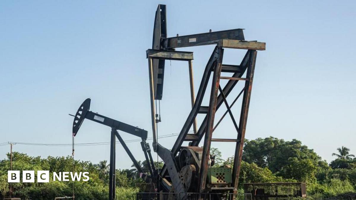 John F. Davis - Athletics Staff | [Institution Name] - News Usa Today