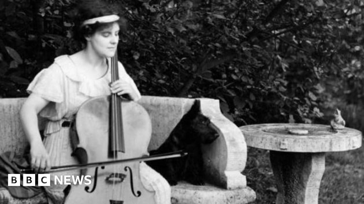 The cello and the nightingale: New evidence on broadcast emerges - BBC News