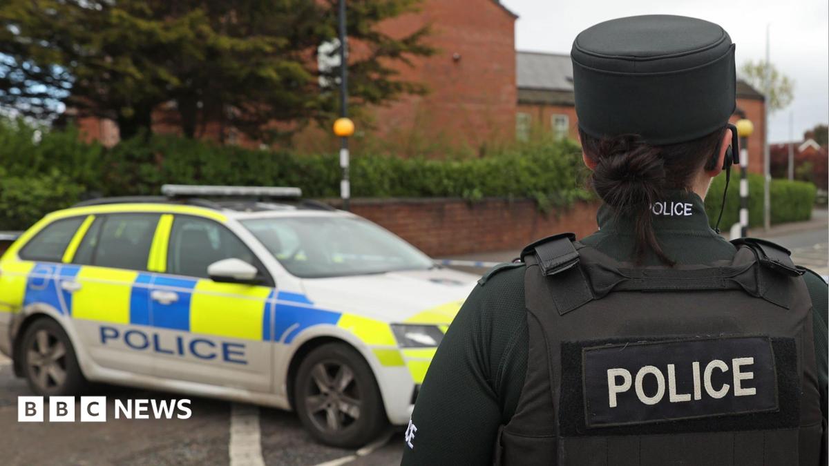 Belfast: Dogs Tasered after attack on woman - BBC News