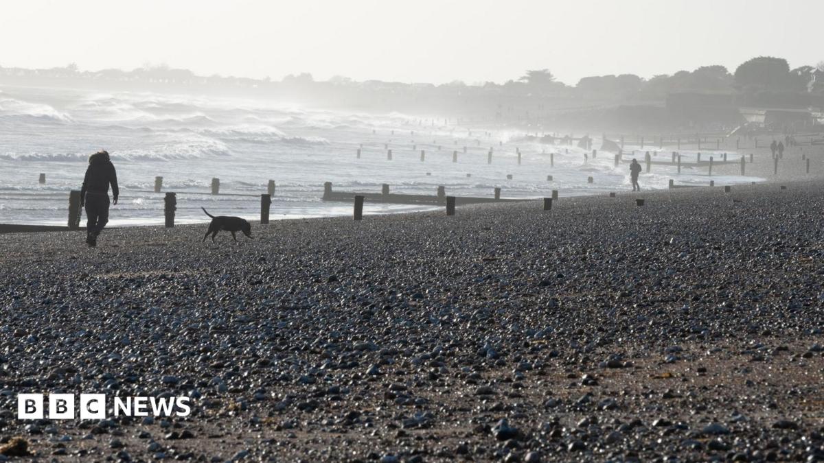 Five South East swim spots given poor water quality rating - BBC News