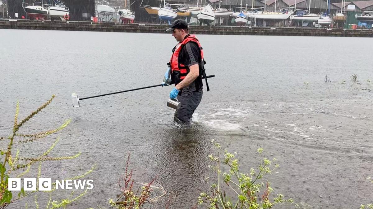 Totnes swim site pollution at 20 times acceptable level - tests - BBC News