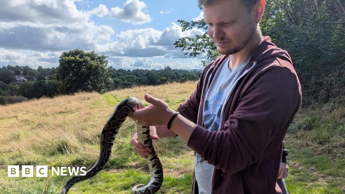 Missing python found by Birmingham family on blackberry hunt - BBC News