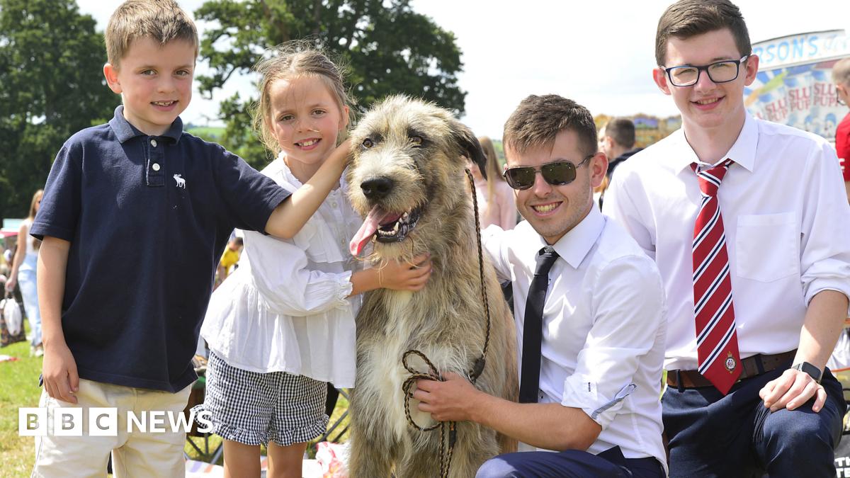In photos: Annual Scarva Sham Fight at Scarva - BBC News