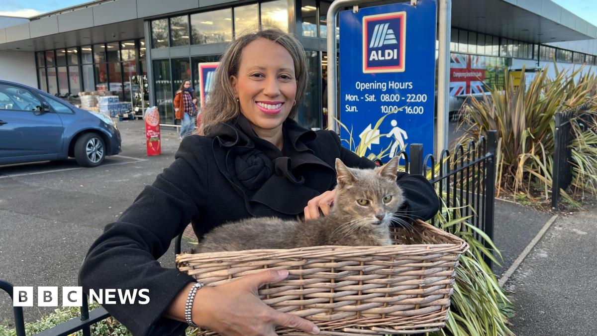 Police called after Bingham Aldi cat triggered store alarm - BBC News