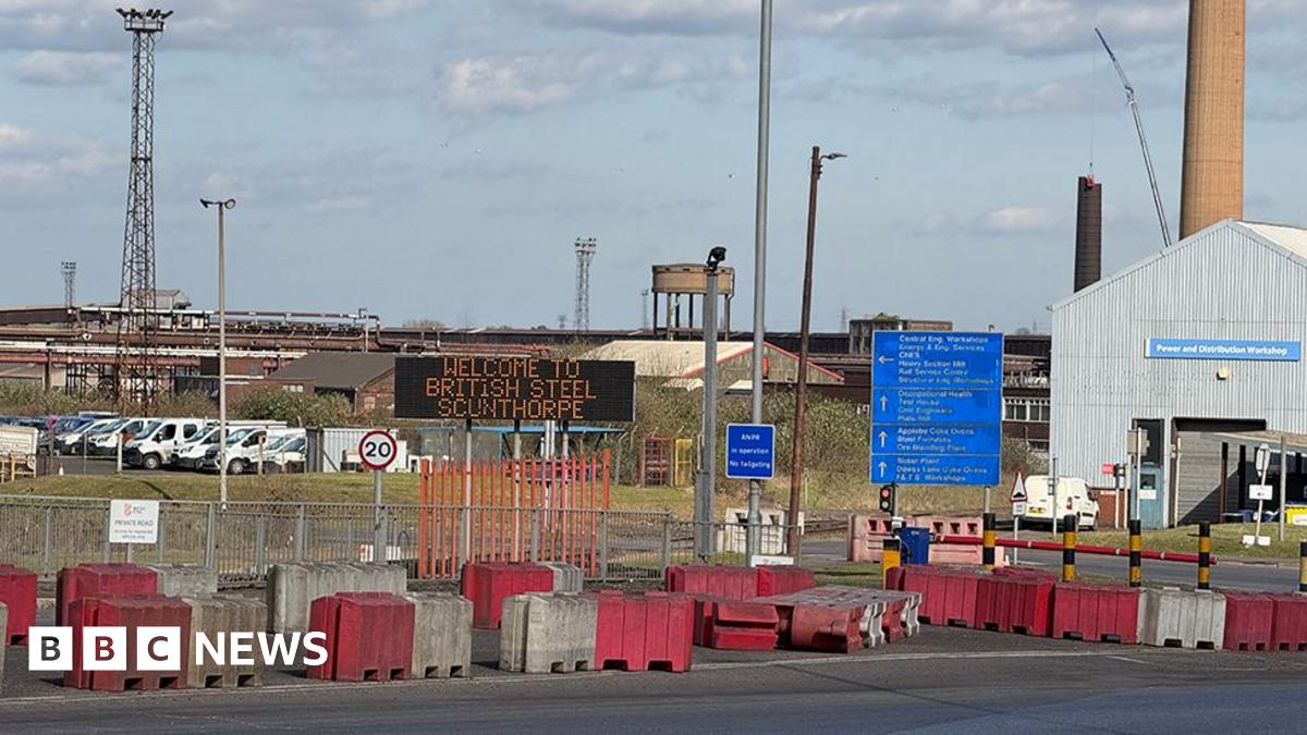 Councillors support calls for British Steel nationalisation - BBC News