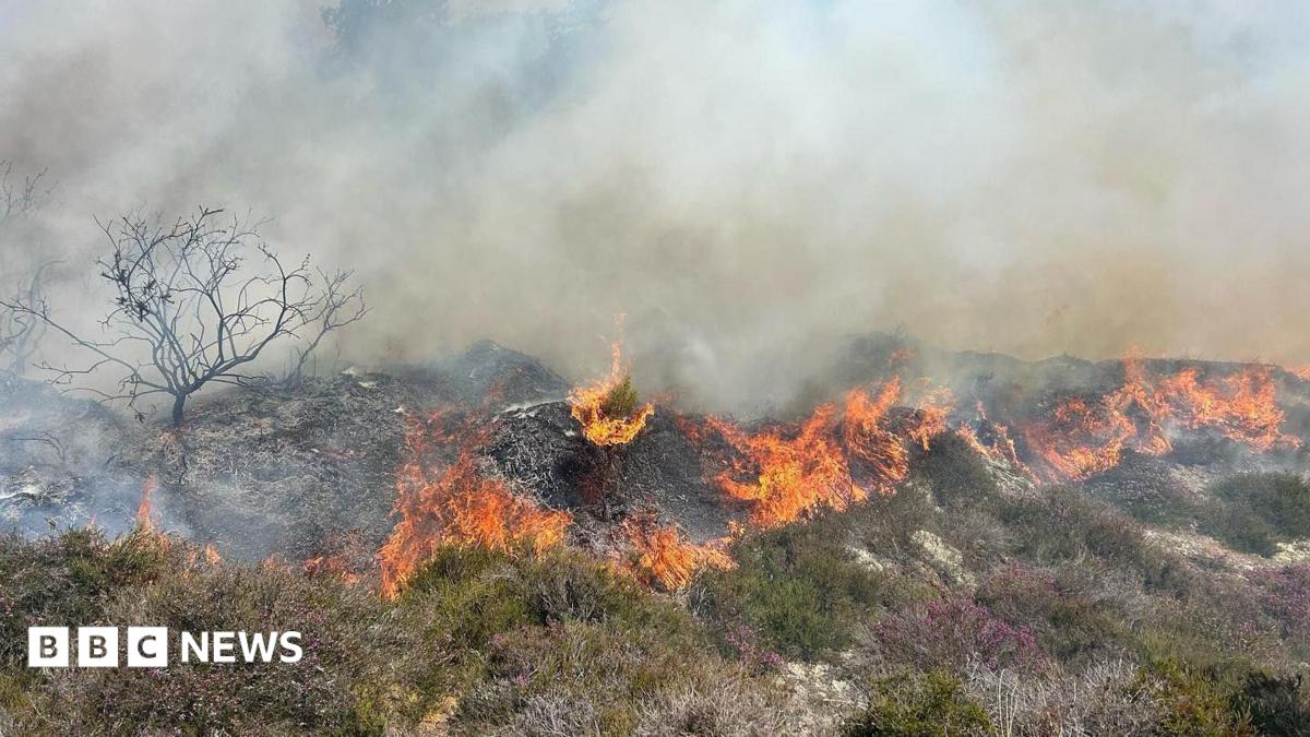 Firefighters fight Bournemouth beach fire hotspots - BBC News