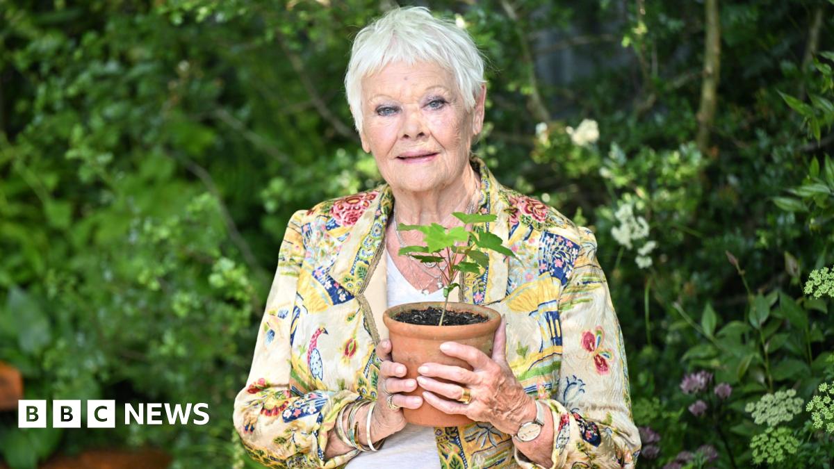 Dame Judi Dench celebrates her 90th birthday - BBC News