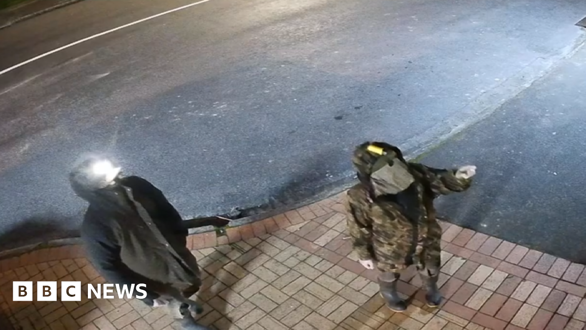 Tom Phillips: New video appears to show New Zealand fugitive dad - BBC News