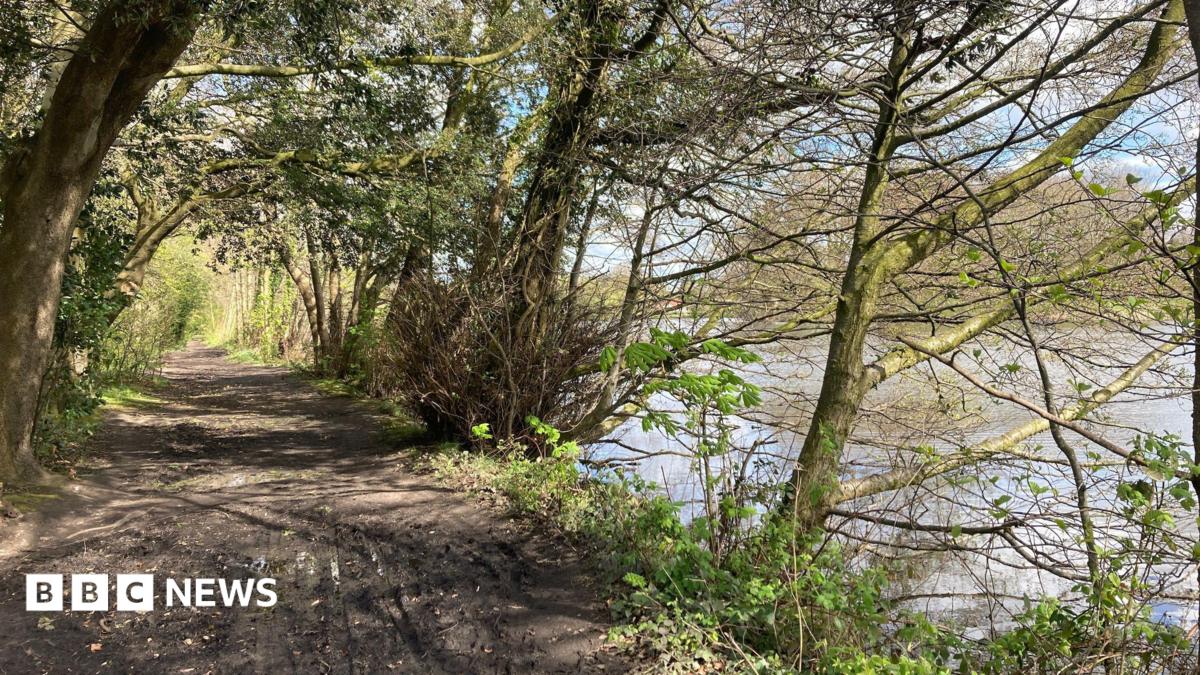 Poynton Pool: Opponents urge council to rethink tree removal plan - BBC ...
