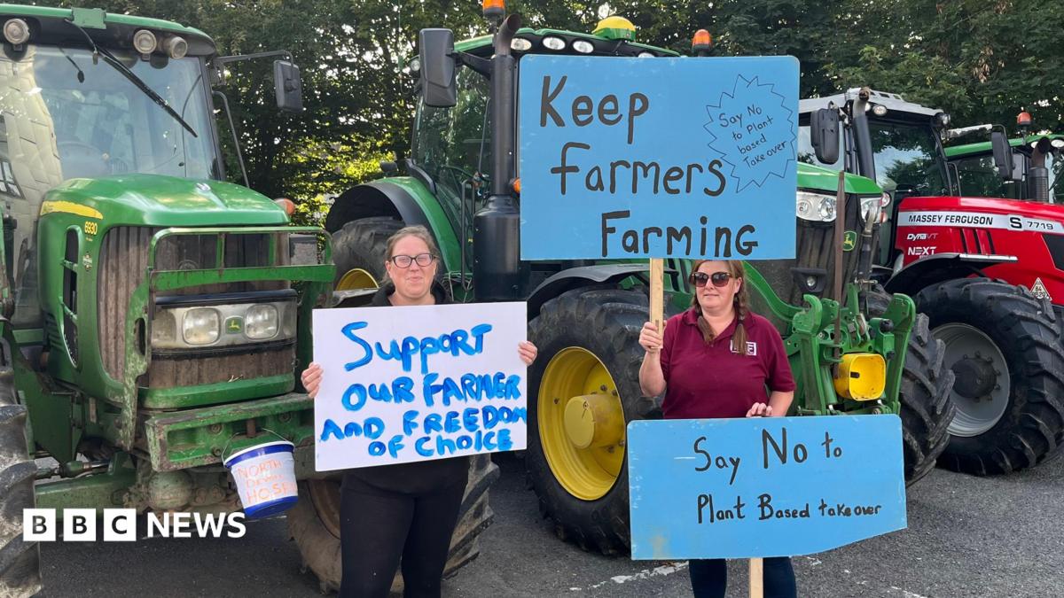 Vegans demanding Bournemouth council ban meat and dairy. | The Farming ...