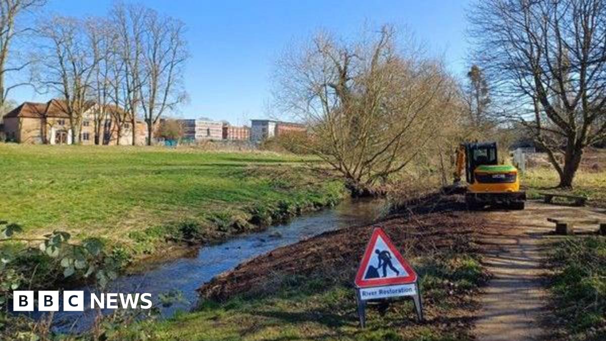Pond created as part of River Sherbourne restoration in Coventry - BBC News