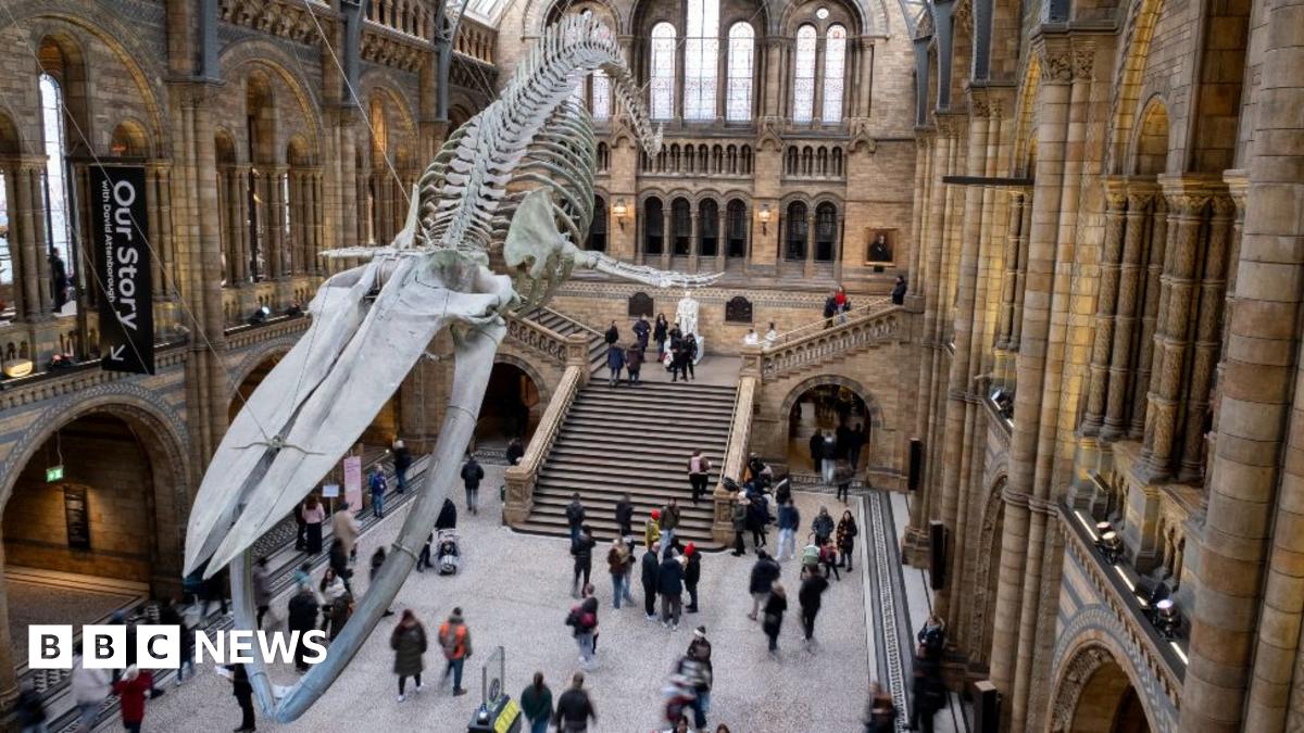 Natural History Museum most popular tourist attraction in 2025 - BBC News