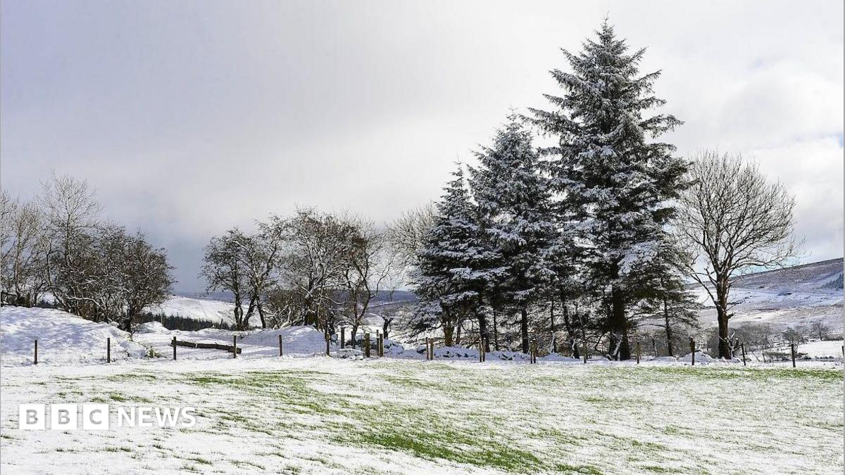 Climate change: Eight days of wintry weather lost in NI - BBC News