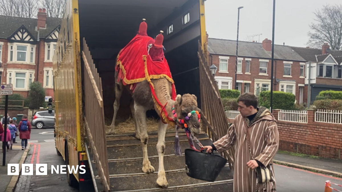Animals among stars in Coventry church's nativity play - BBC News