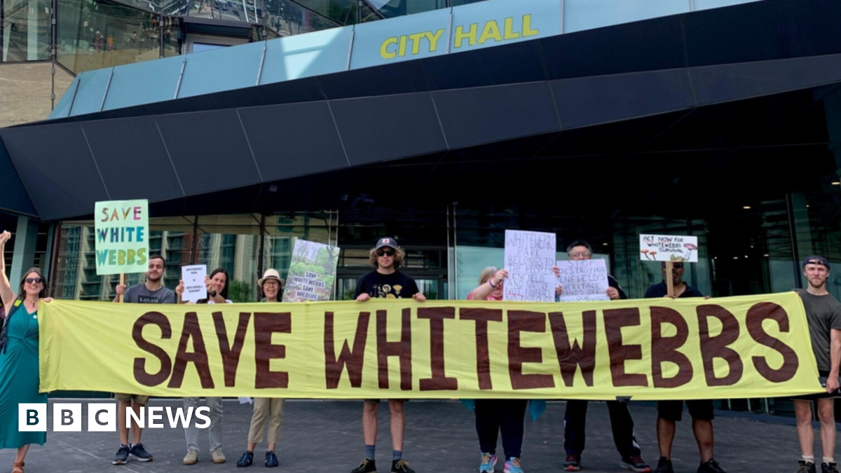Tottenham women's green belt training ground given green light - BBC News