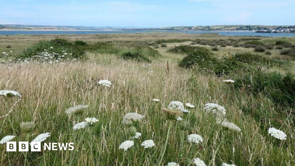 Season ticket price increase for Northam Burrows car park criticised ...