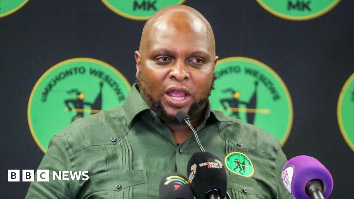 Floyd Shivambu: South African politician sacked by MK over Shepherd ...