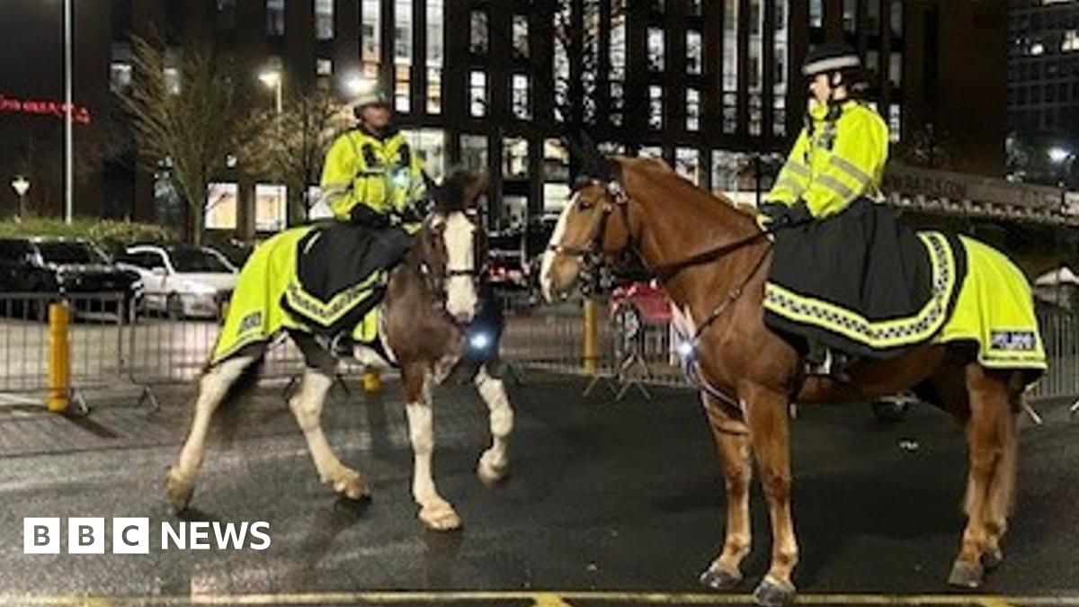 New hooved officers patrolling Wolverhampton streets - BBC News