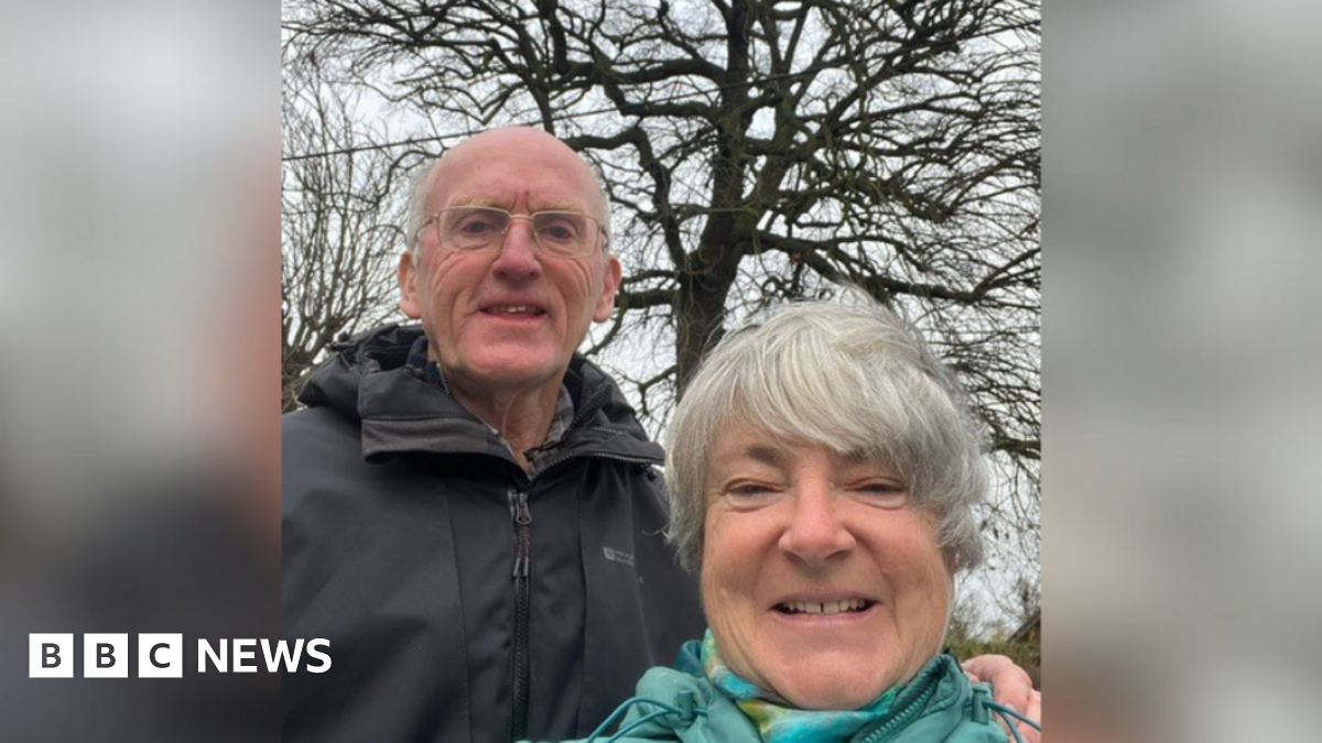Old King George tree in Wivenhoe to be felled after four-year row - BBC ...
