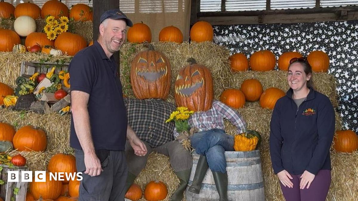 Warm weather boosts East Yorkshire’s Halloween pumpkin crop - BBC News
